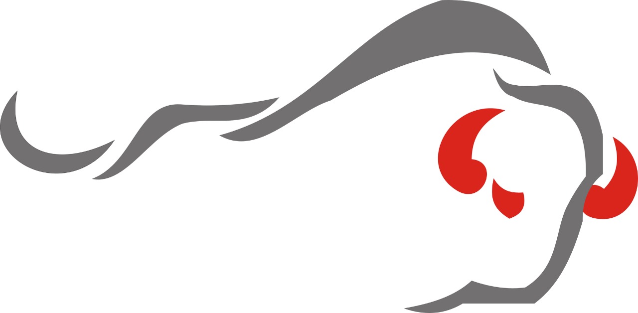 Our Team | Bison IT Solutions